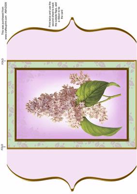 Lilac Sprig Bracket Card - CUP19333_10 | Craftsuprint
