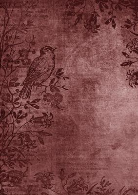 Dusky Pink Bird Edge Dark A4 Backing Paper - CUP314349_10 | Craftsuprint