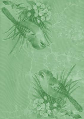 Mint Green Bird Duo A4 Backing Paper - CUP353355_10 | Craftsuprint