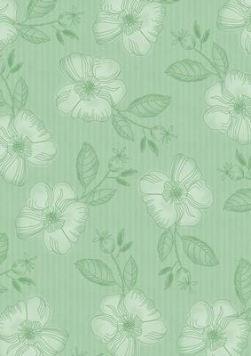 Mint Green Vintage Flora Stripe A4 Backing Paper - CUP419518_10 ...