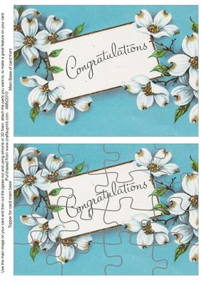Congratulations Jigsaw Puzzle Card Front - CUP42098_10 | Craftsuprint