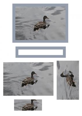 Wild Duck Pyramid - CUP238742_1051 | Craftsuprint