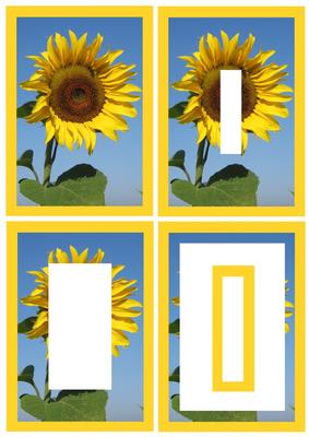 Sunflower Inverted Pyramid - CUP239358_1051 | Craftsuprint