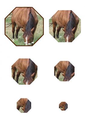Horse Octagonal Pyramid - CUP243619_1051 | Craftsuprint
