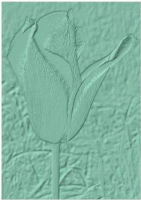 Tulip Backing Paper 2 - CUP265100_1051 | Craftsuprint