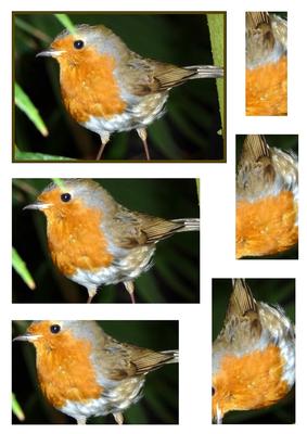 Cute Robin Pyramid - CUP299983_1051 | Craftsuprint