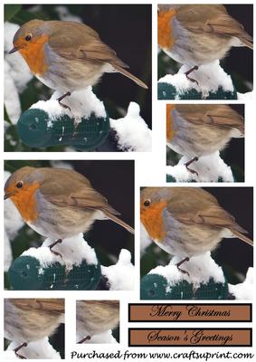 Christmas Robin Square Pyramid - CUP327449_1051 | Craftsuprint