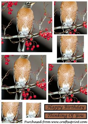 American Robin Square Pyramid - CUP327725_1051 | Craftsuprint