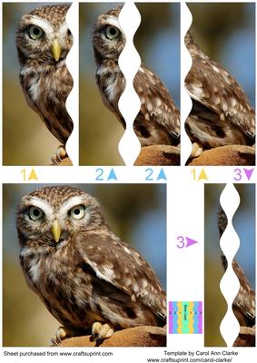 Little Owl Square Wavy Side Stacker - CUP349069_1051 | Craftsuprint