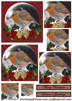 Christmas Robin Snow Globe Square Pyramid - CUP368676_1051 | Craftsuprint