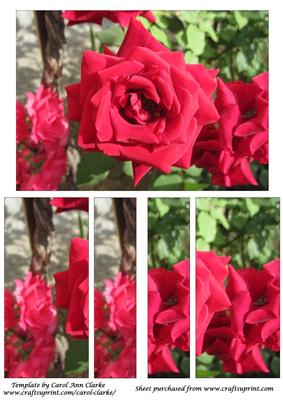 Red Rose Side Stacker - CUP389277_1051 | Craftsuprint
