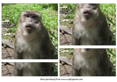 Cute Monkey Bottom Stacker - CUP394594_1051 | Craftsuprint