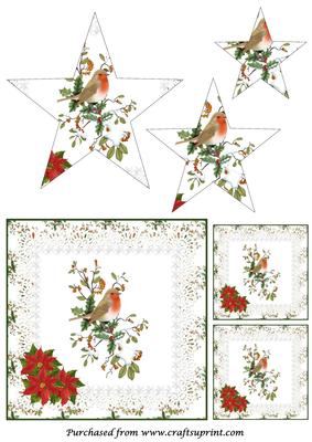 Christmas Robin on Branch Star Pyramid - CUP400874_1051 | Craftsuprint