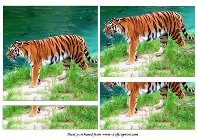 Tiger Bottom Stacker - CUP447218_1051 | Craftsuprint