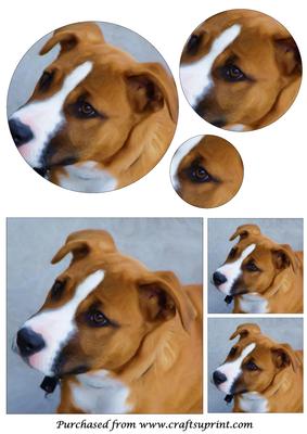 Cute Dog Circle Pyramid 2 - CUP450292_1051 | Craftsuprint