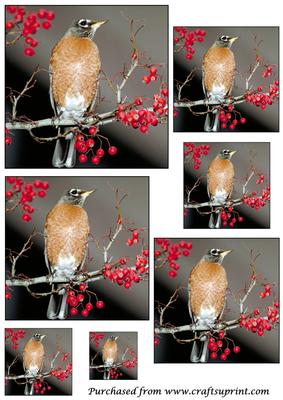 American Robin Toppers - CUP453708_1051 | Craftsuprint