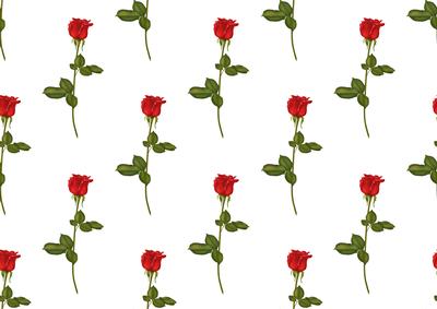 Red Roses Backing Paper - CUP537488_1051 | Craftsuprint