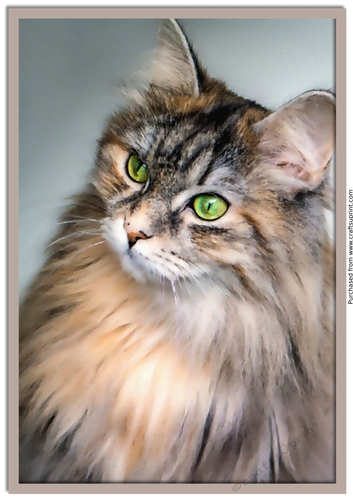 Cat A4 3 - CUP731674_1051 | Craftsuprint