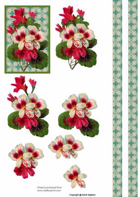 African Violets with 2 Borders - CUP26355_156 | Craftsuprint