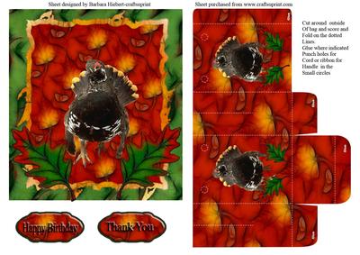 Wild Turkey Card Top and Wild Turkey Gift Bag Set - CUP424512_1865 ...