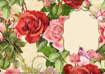 Floral Roses Scenic Insert - CUP619767_1865 | Craftsuprint
