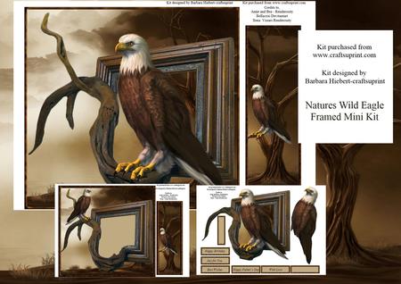 Natures Wild Eagle Framed Mini Kit - CUP679401_1865 | Craftsuprint