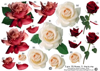 3 Pcs. 3D Roses, 3 Step by Step - CUP670987_1395 | Craftsuprint