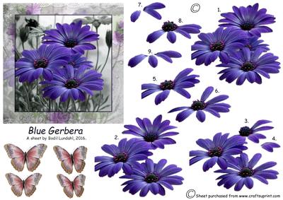 Blue Gerbera - CUP673808_1395 | Craftsuprint