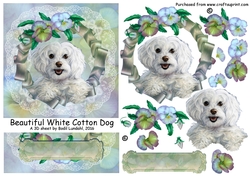 Beautiful White Cotton Dog - Photo by Yvonne Middleton