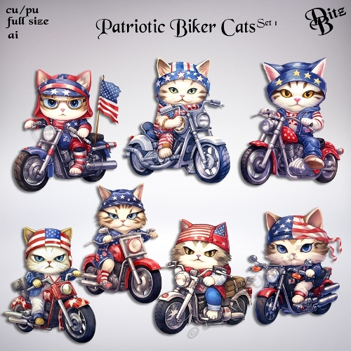 Patriotic Biker Cats Set 1 - CUP1384388_135210 | Craftsuprint