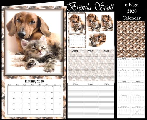 Loveable Cats and Dogs 2020 Calendar - CUP985333_9035 | Craftsuprint
