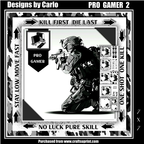 Pro gamer 2 - CUP1046502_108088 | Craftsuprint