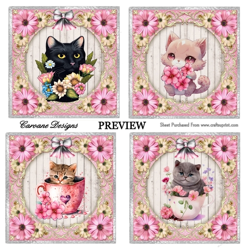 Pretty Kitty Bumper Kit 9 - 10 sheets, Card fronts, decoupage, inserts ...