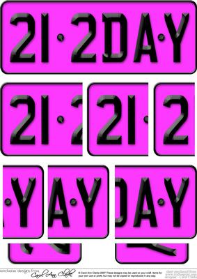 21st Birthday Fun Novelty Number Plate with Side Stacker - CUP160484 ...