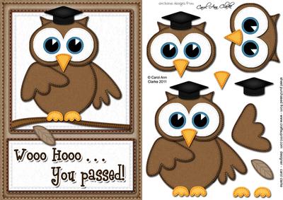 A5 Wise Owl Exam Congrats Felties Quick Card 3D Decoupage - CUP236307_359 | Craftsuprint