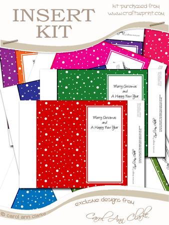 Dl Portrait Bright Snow Christmas Inserts - CUP258542_359 | Craftsuprint