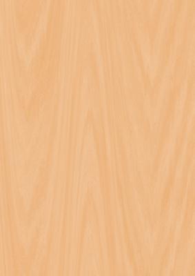 Men's Backing Paper - CUP259023_359 | Craftsuprint