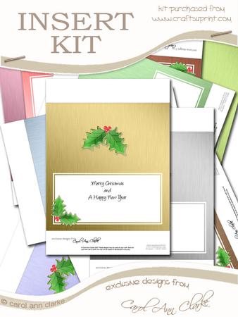 Dl Christmas Holly Landscape Inserts - CUP261480_359 | Craftsuprint