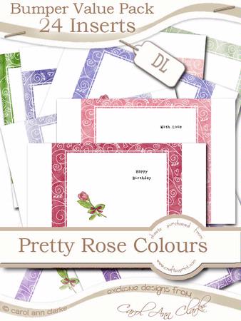 Bumper Value Pack of Pretty Dl Inserts - CUP32310_359 | Craftsuprint
