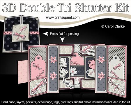 3D Dragonflies Double Tri Shutter Card Kit - CUP346788_359 | Craftsuprint