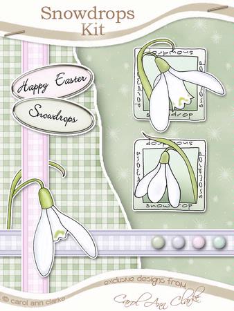 Snowdrops Kit with Step by Step Decoupage - CUP37305_359 | Craftsuprint