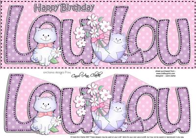 Large Dl Birthday Lou Lou Card & 3D Decoupage - CUP413541_359 ...