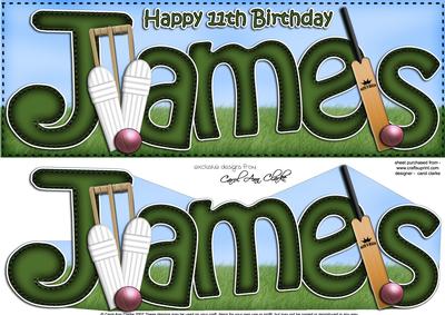 Large Dl 11th Birthday James Cricket Card & 3D Decoupage - CUP536694 ...
