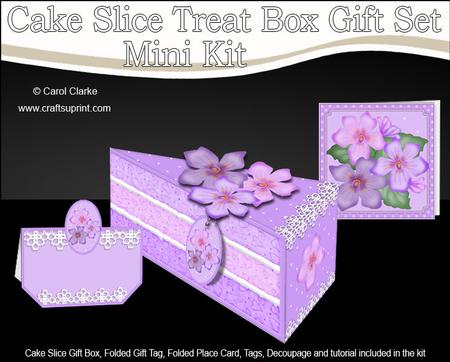 3D Pretty Violets Cake Slice Treat Box Gift Set Mini Kit - CUP539059 ...