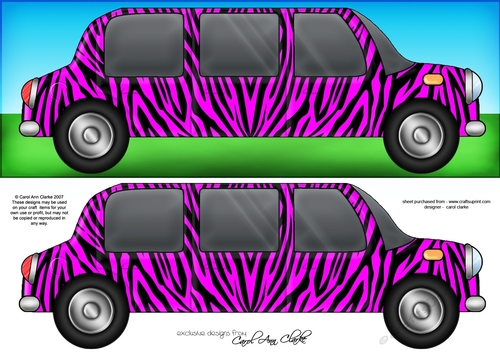 Large DL Zebra Stripe Stretch Limo Quick Card & 3D decoupage ...
