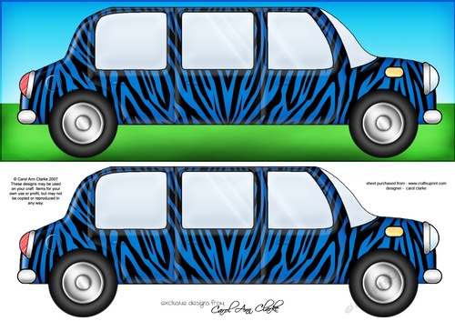 Large DL Zebra Stripe Stretch Limo Quick Card & 3D decoupage ...