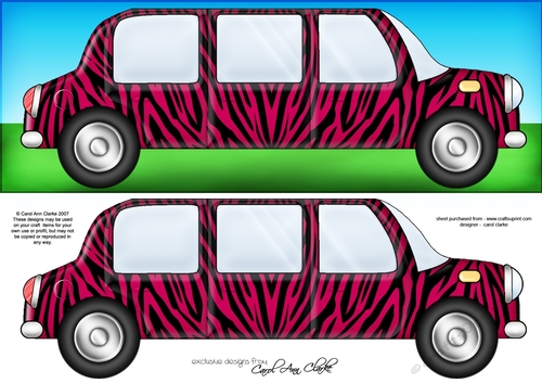 Large DL Zebra Stripe Stretch Limo Quick Card & 3D decoupage ...