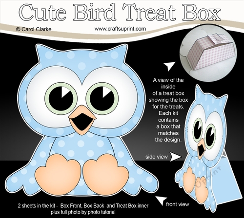 3D Cute Bird Treat Box Gift Set Mini Kit - Cute Little Oscar Owl ...