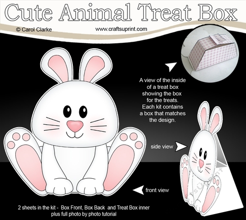 3D Cute Animal Treat Box Gift Set Mini Kit - Cute Little Dipsy Bunny ...