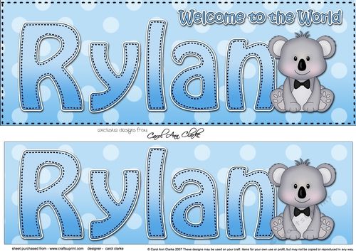Large DL Welcome to the World RYLAN 3D decoupage - CUP901827_359 ...